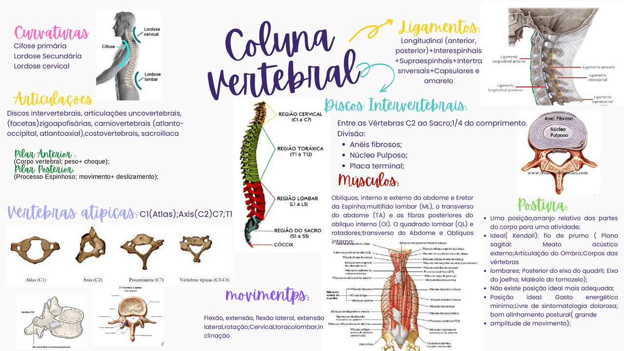 Mapa mental Biomecânica da Coluna | Esquemas Biomecânica | Docsity
