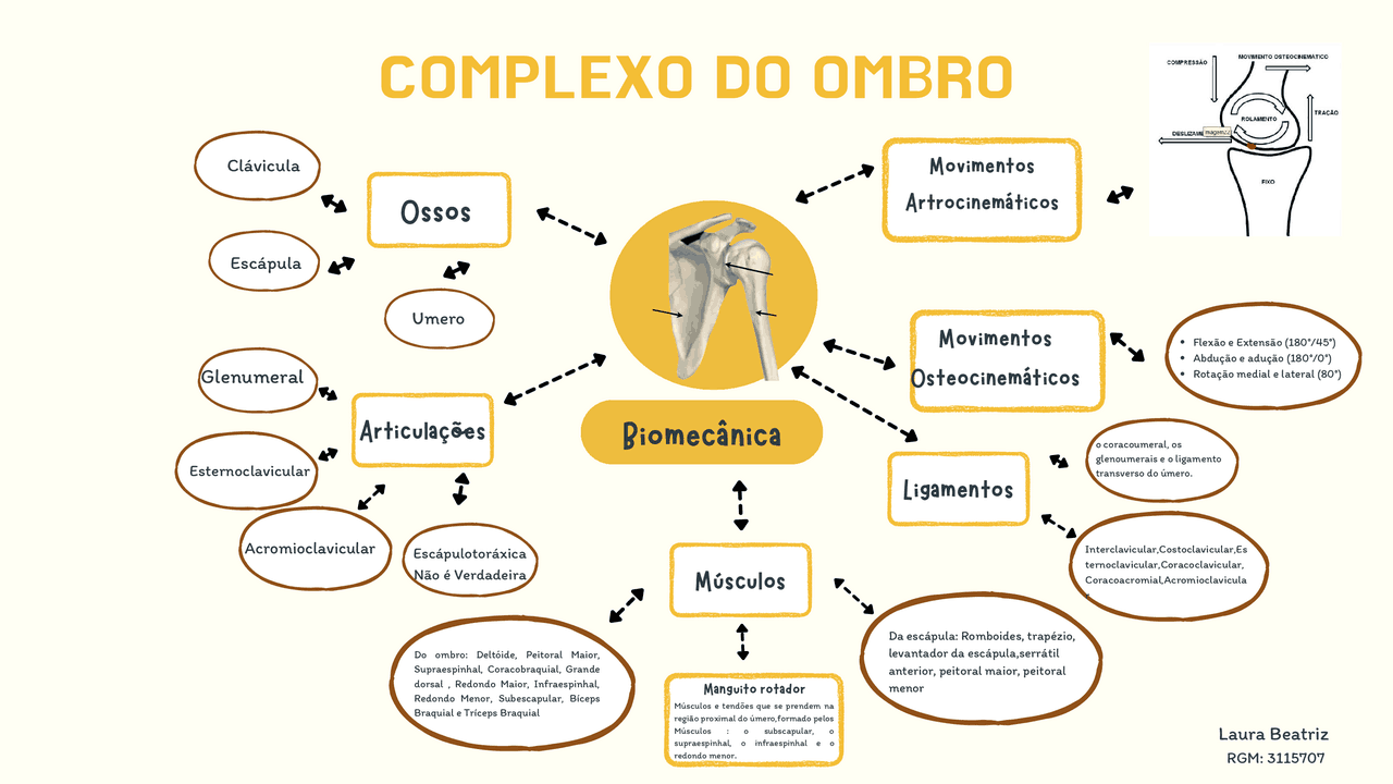 Mapa mental biomecânica do Ombro e cotovelo | Esquemas Biomecânica | Docsity