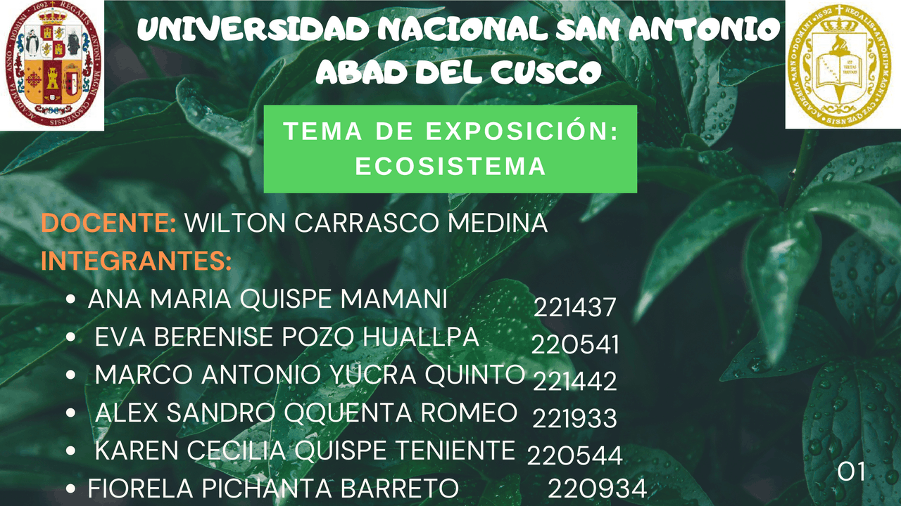 El Ecosistema Que Es Divicion Diapositivas De Biología Docsity