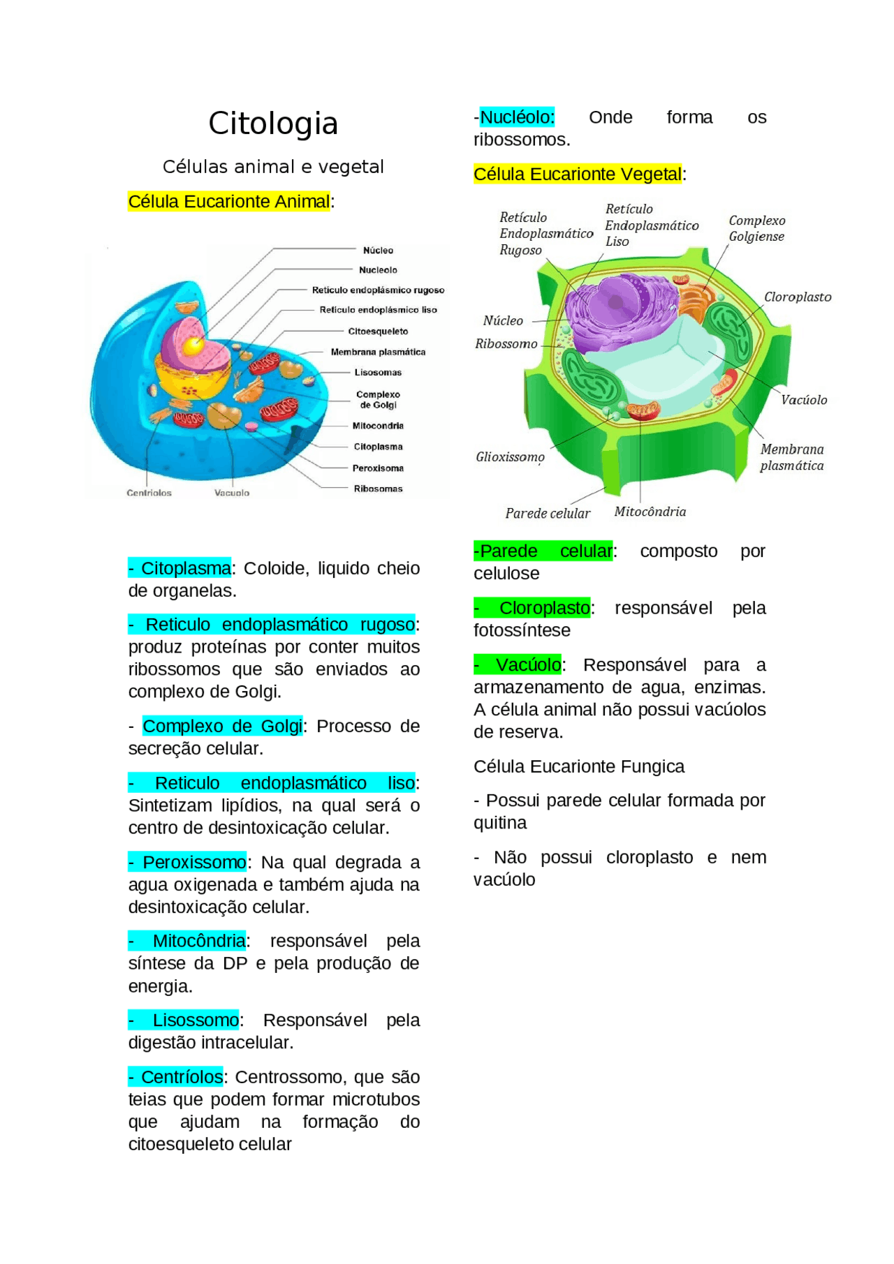 Resumo Biologia - Citologia | Esquemas Biologia | Docsity