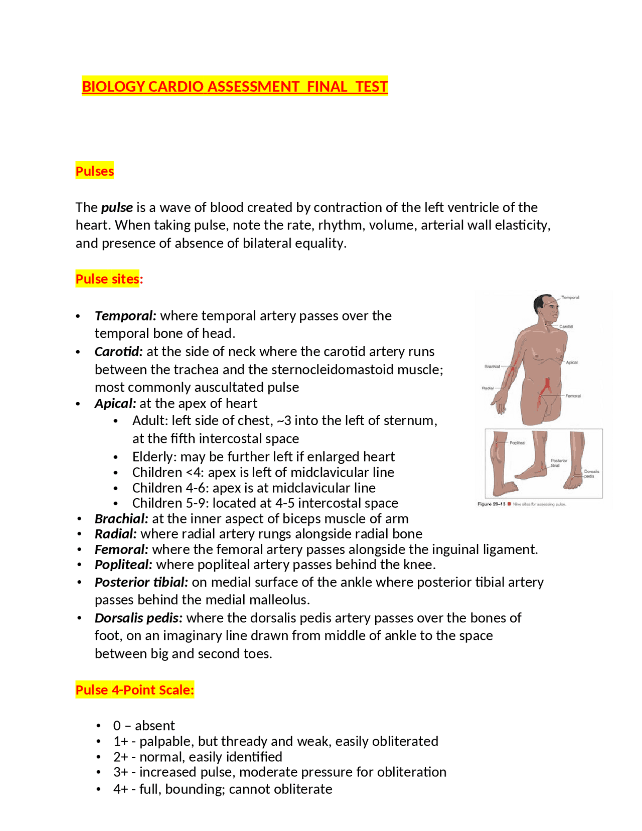 BIOLOGY CARDIO ASSESSMENT FINAL TEST | Exams Biology | Docsity