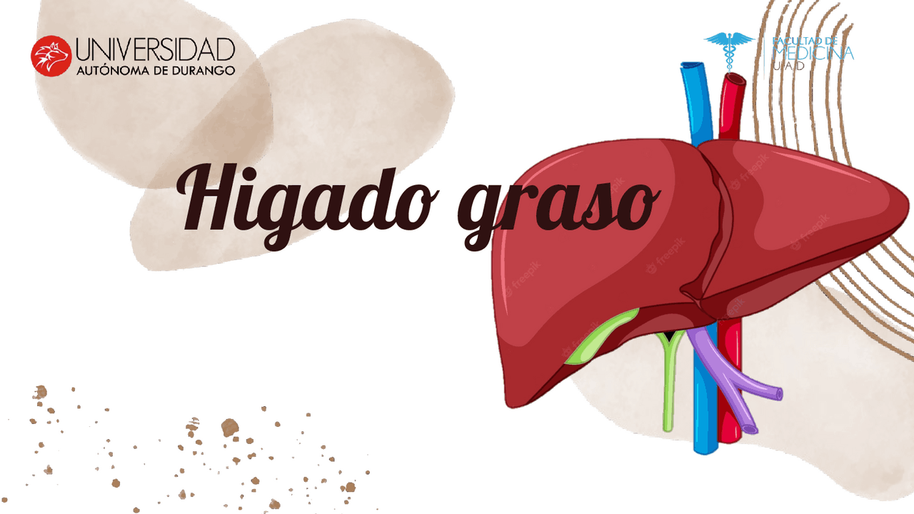 Hígado Graso Exposición | Diapositivas de Gastroenterología | Docsity