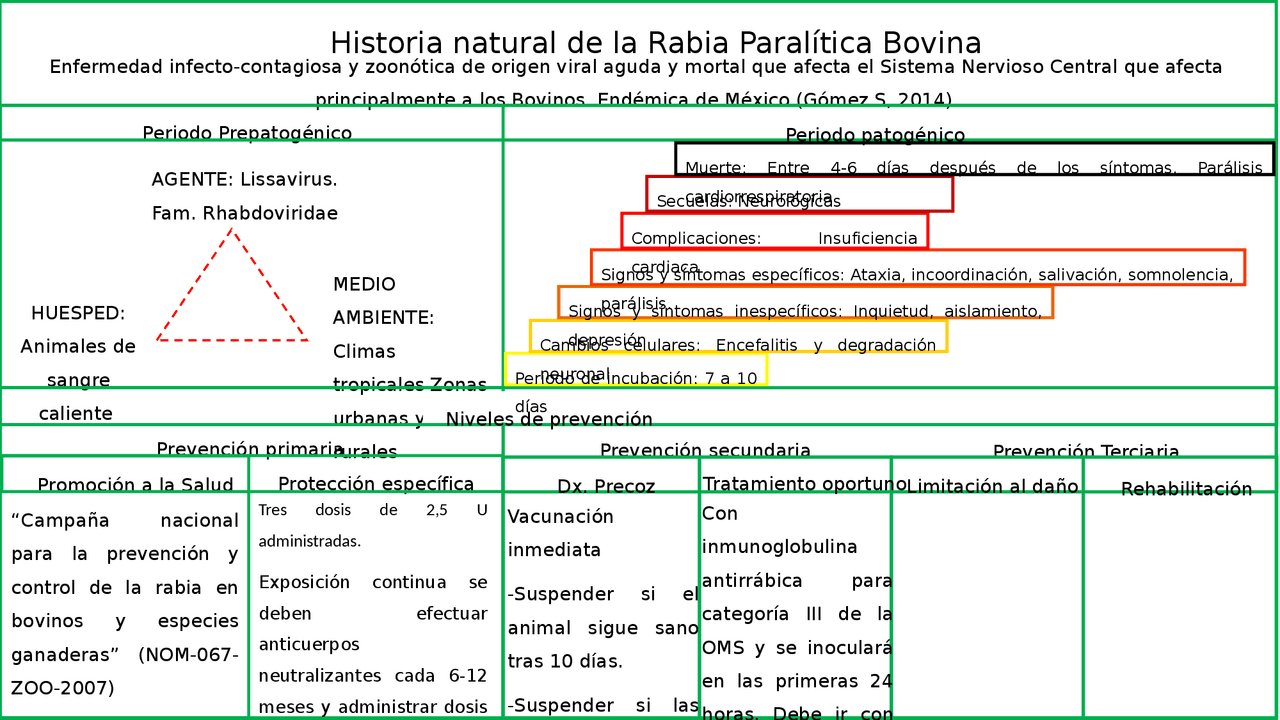 Historia natural de la enfermedad: Rabia paralítica bovina | Diapositivas de Epidemiología | Docsity