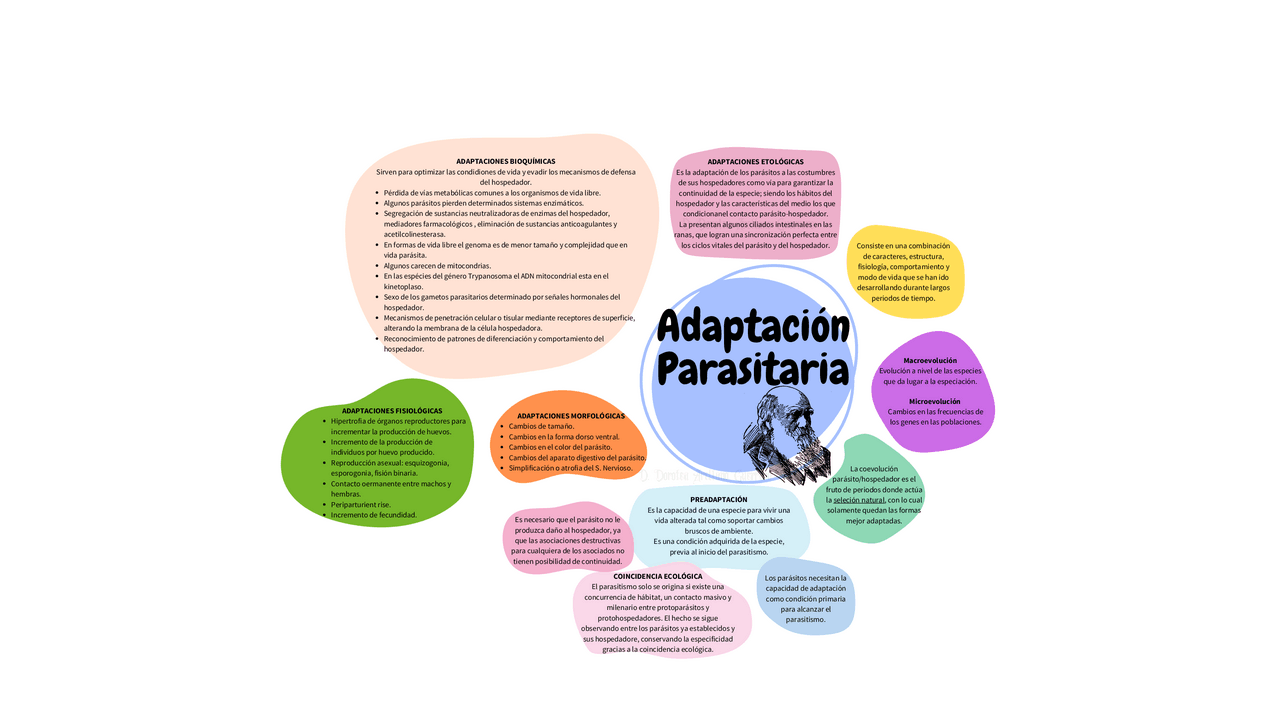 Adaptacion Parasitaria Diapositivas De Parasitología Docsity