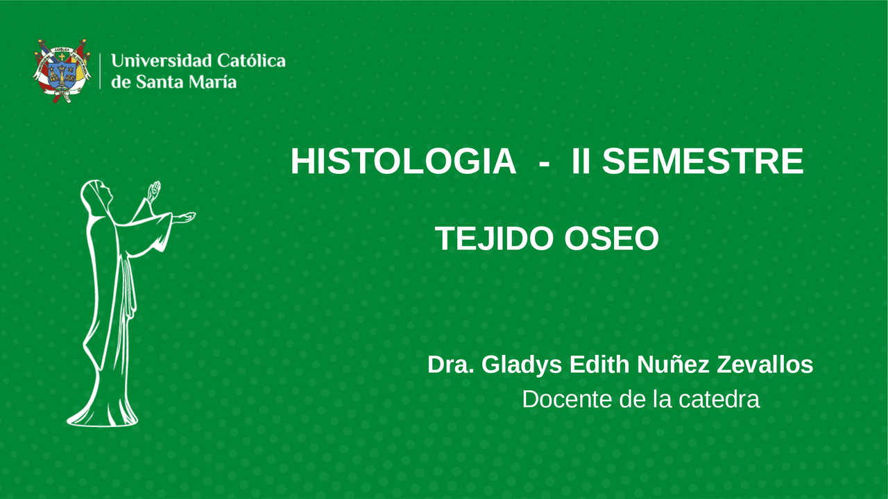 Tejido Oseo Concepto Funciones Y Tipos Diapositivas De Histología