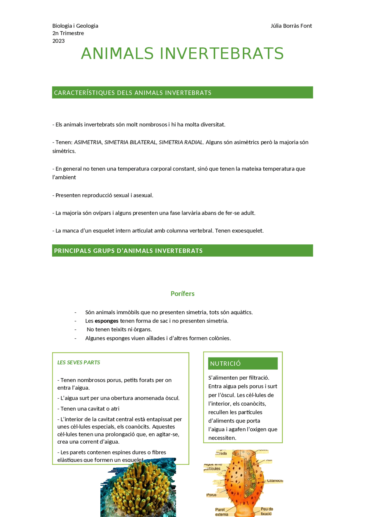 Las Plantas Tema 4 Bio Resúmenes De Biología Docsity