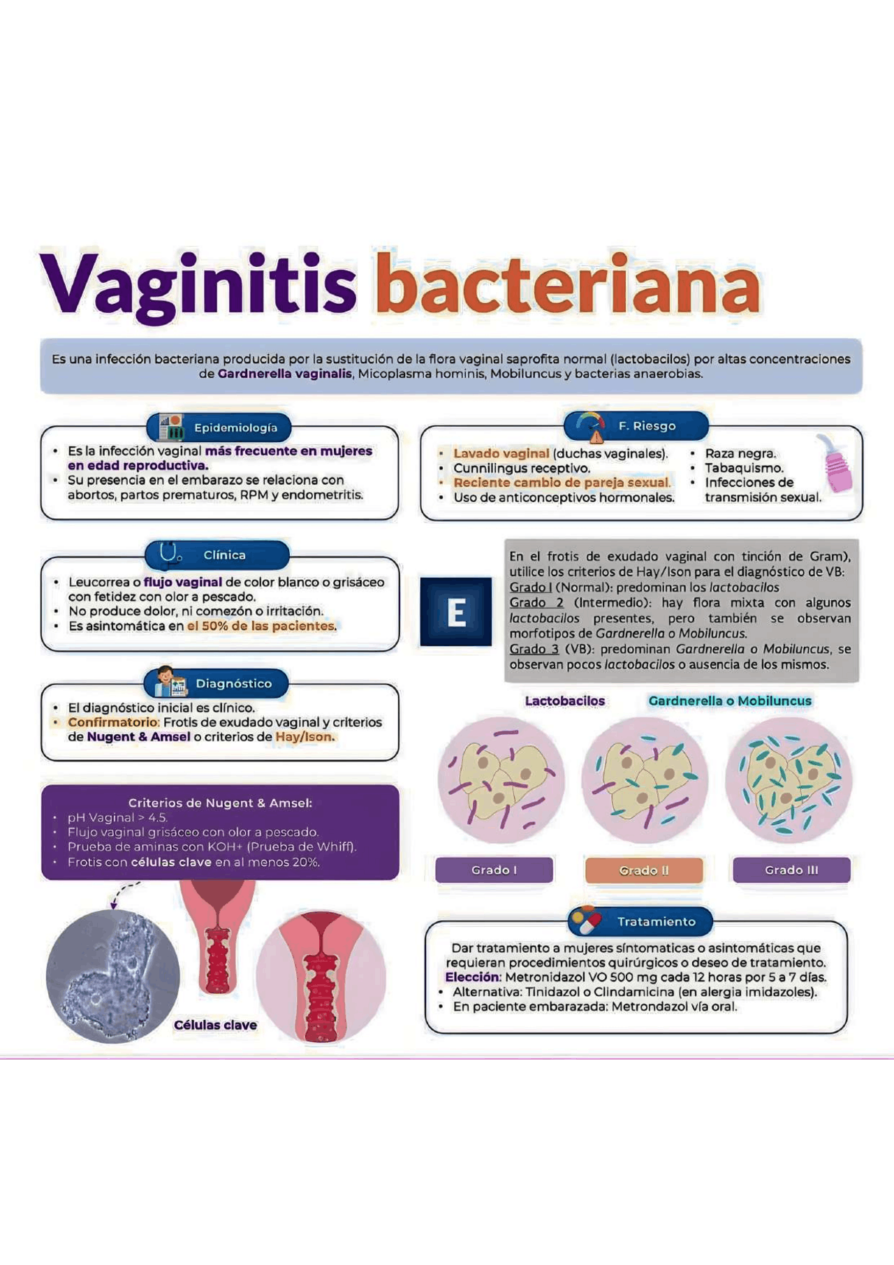 Vaginitis Bacteriana Flashcards | Apuntes de Ginecología | Docsity