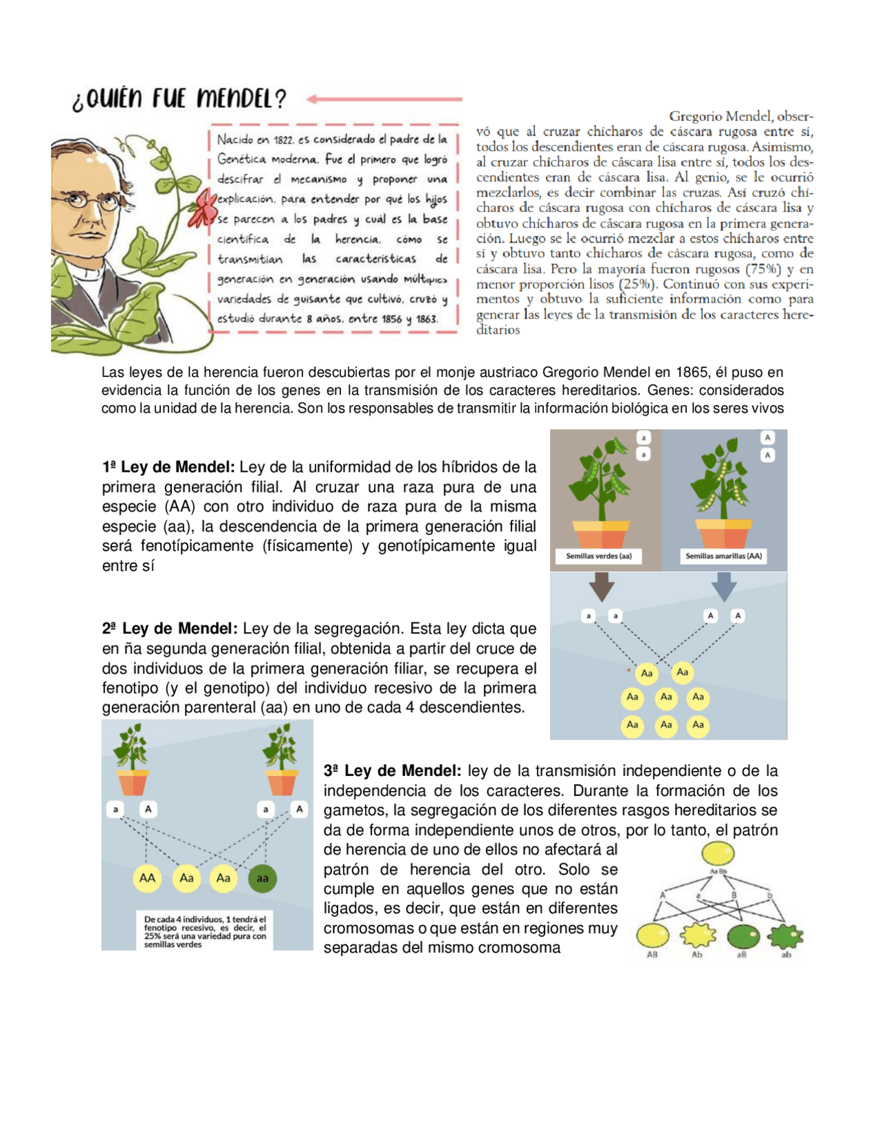Genética mendeliana. | Apuntes de Genética | Docsity