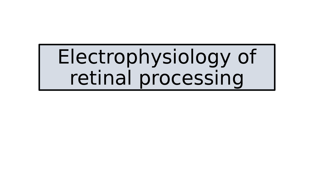 Electrophysiology of retinal processing | Схемы Медицина | Docsity