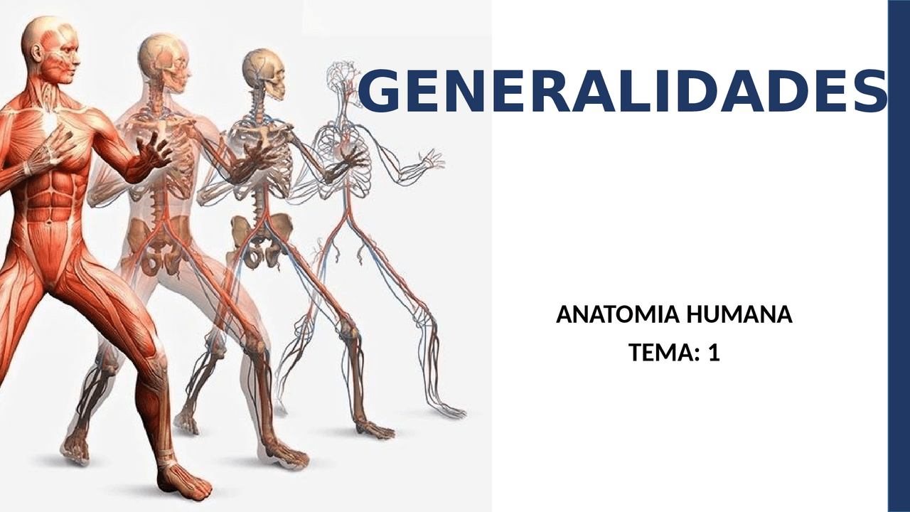 Generalidades Anatomía | Diapositivas de Medicina | Docsity