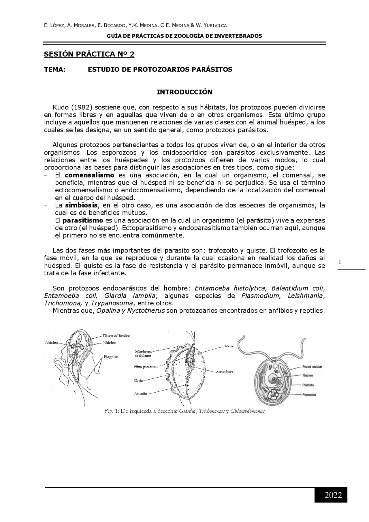 Guía De Practica Protozoarios Parásitos Ejercicios De Genética Docsity