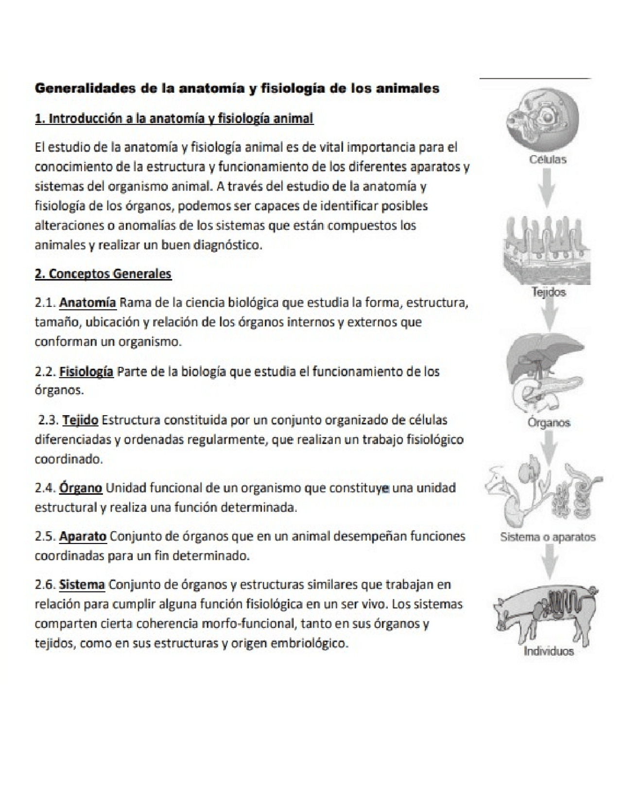 Resumen De Bioseguridad Resúmenes De Biología Docsity