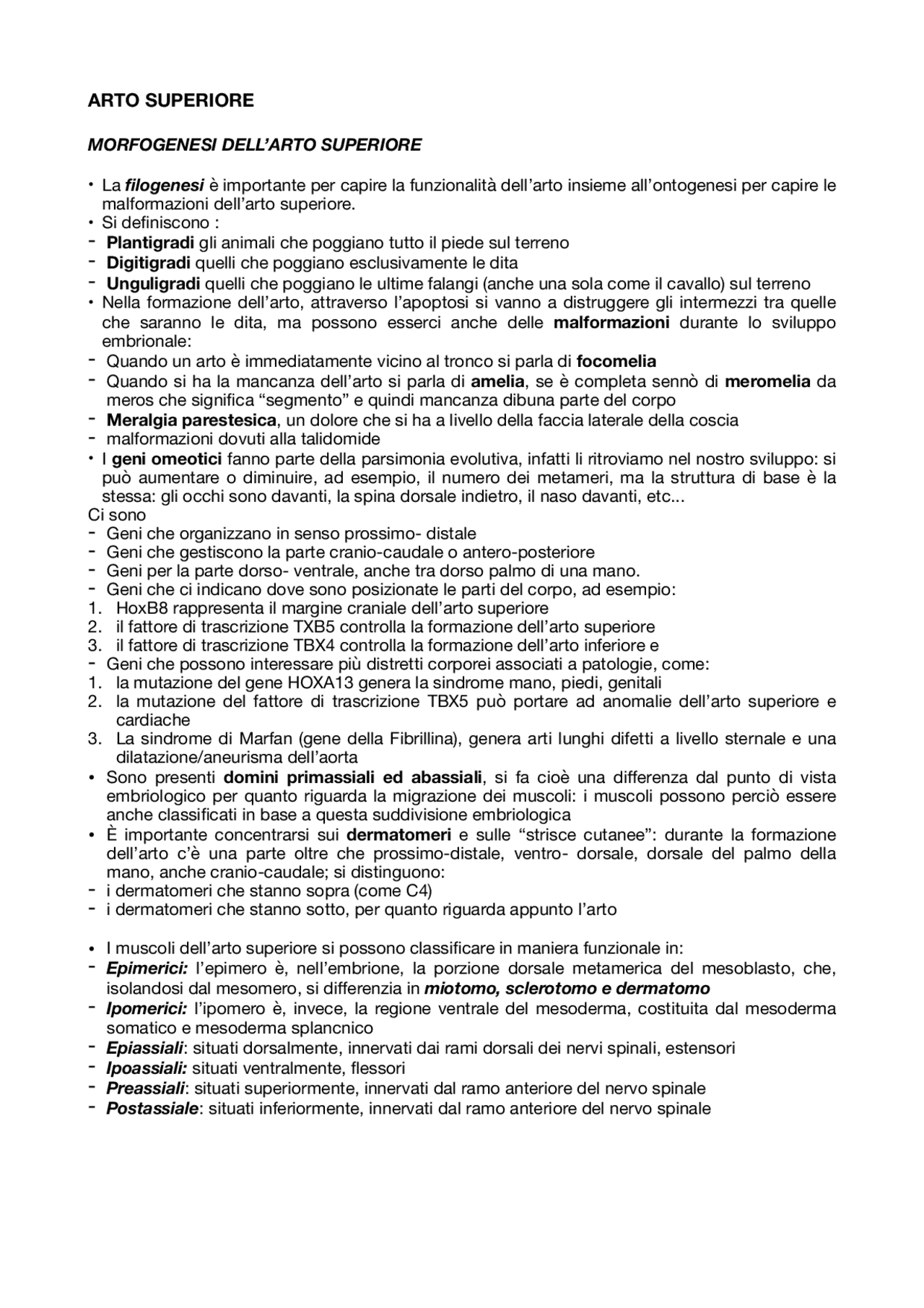 Tutta Lanatomia Dell Arto Dispense Di Anatomia I Docsity