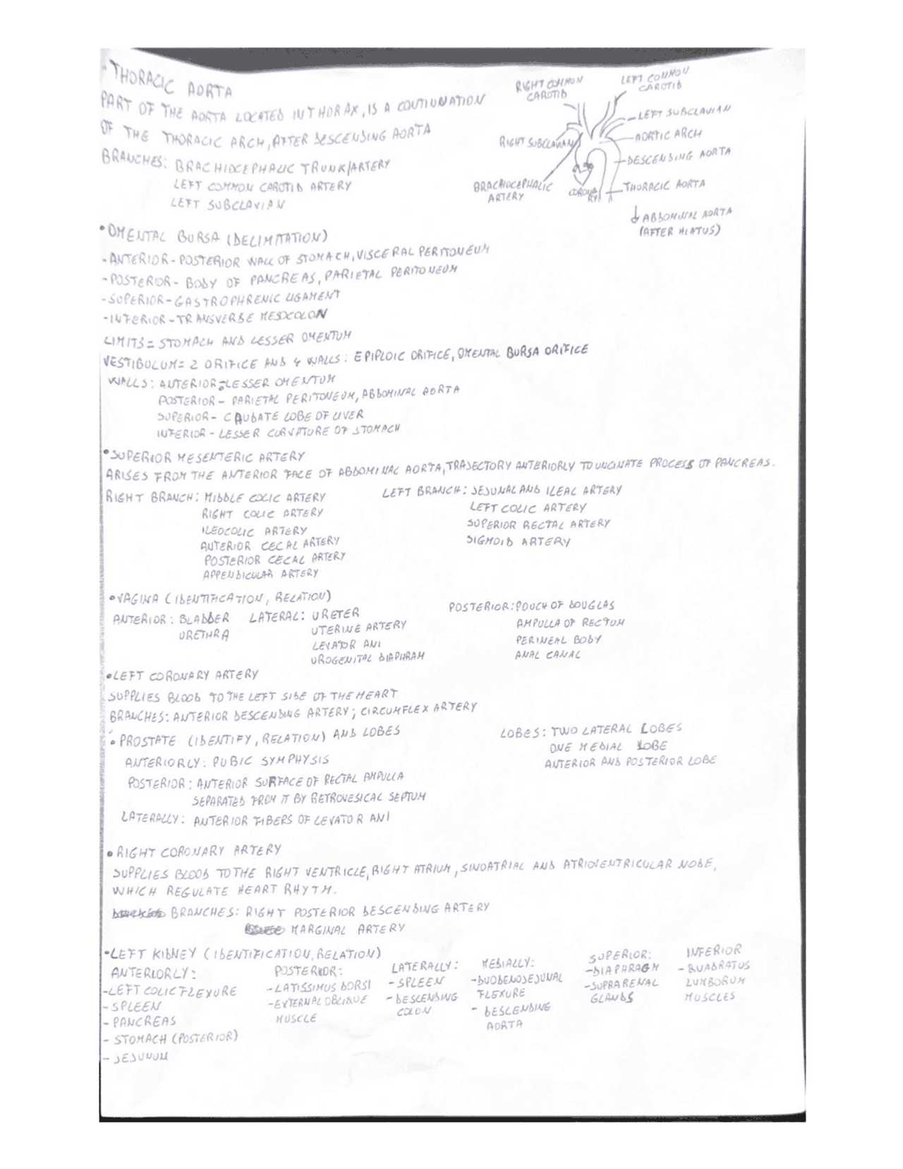 Anatomy notes easy to remember. | Study notes Anatomy | Docsity