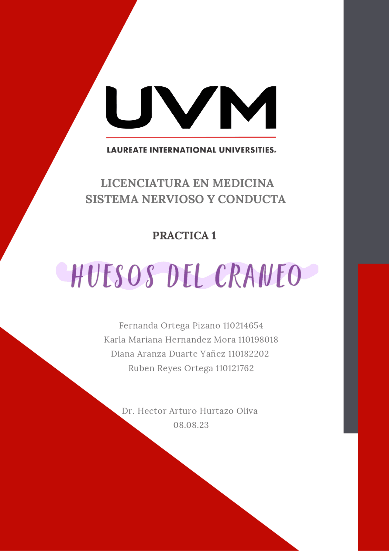 Neurología Sistema Nervioso Apuntes De Neurología Docsity