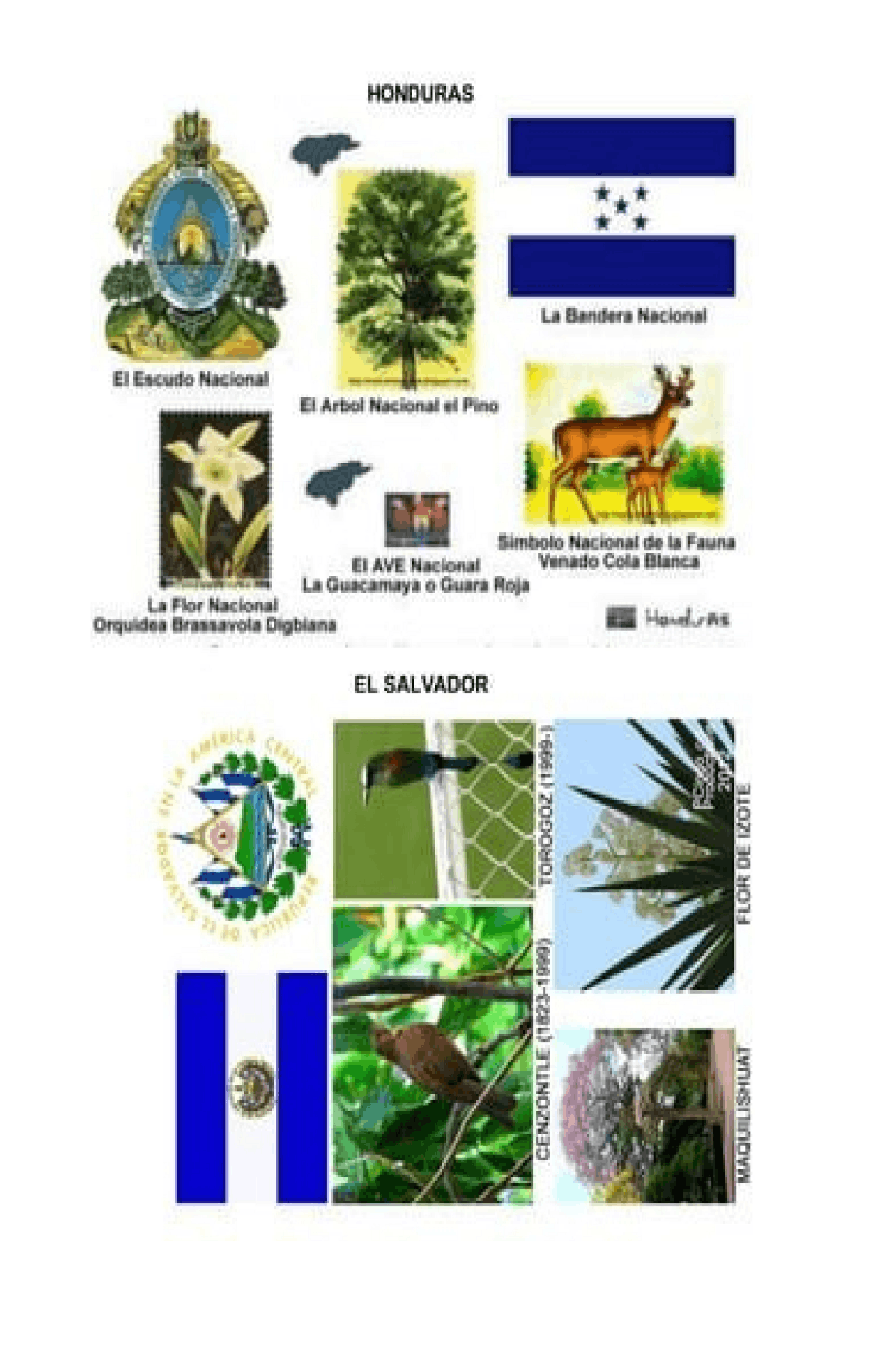simbolos patrios de los páises de centroamerica | Apuntes de Geografía ...