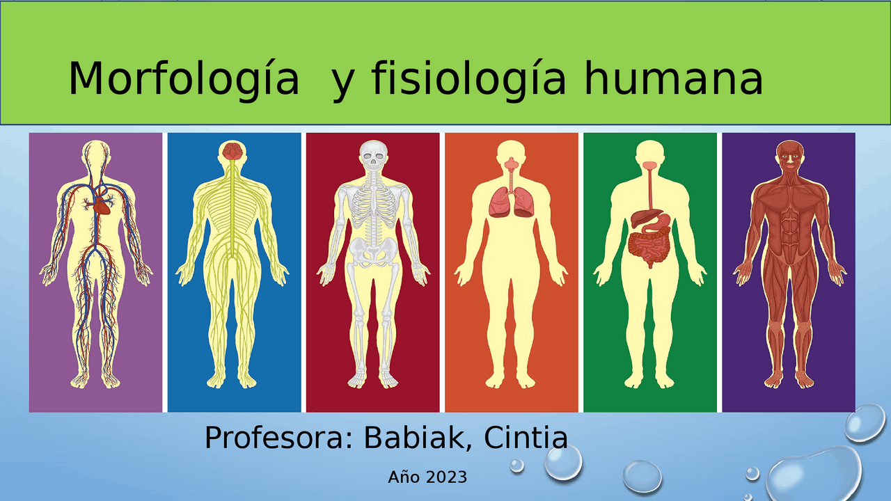 MORFOLOGIA Y FISIOLOGIA | Esquemas y mapas conceptuales de Fisiología ...