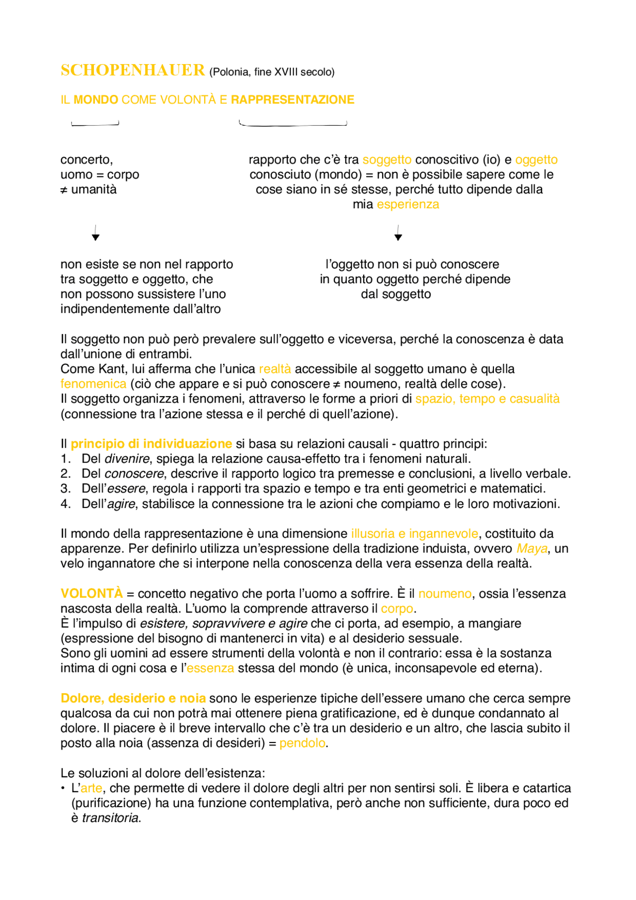Schopenhauer Riassunto Appunti Di Filosofia Docsity