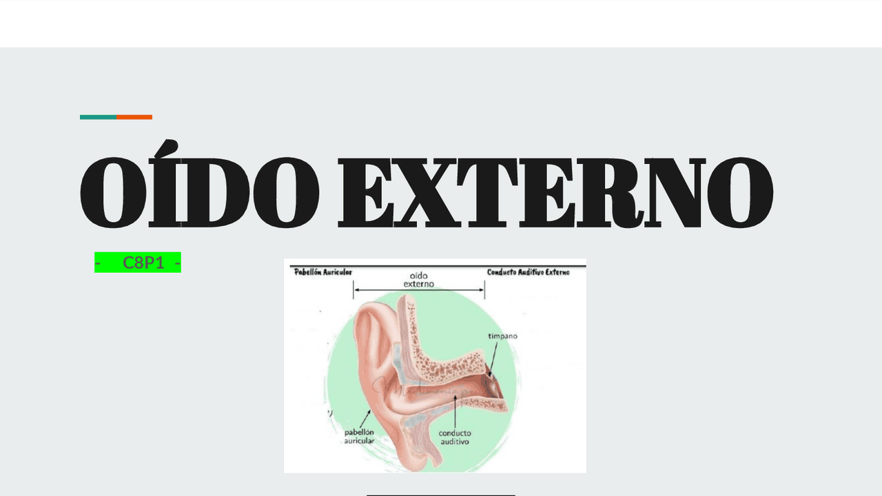 Oido Externo Generalidades Diapositivas De Otorrinolaringología