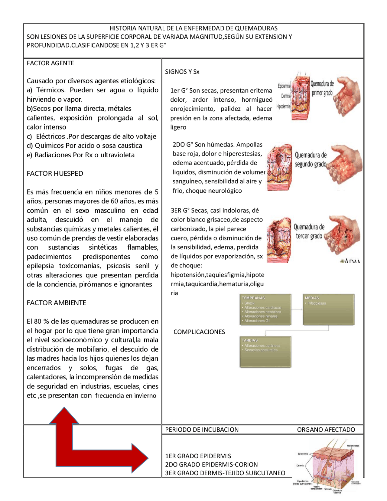 Historia Natural De Quemaduras Ejercicios De Anatomía Aplicada Docsity