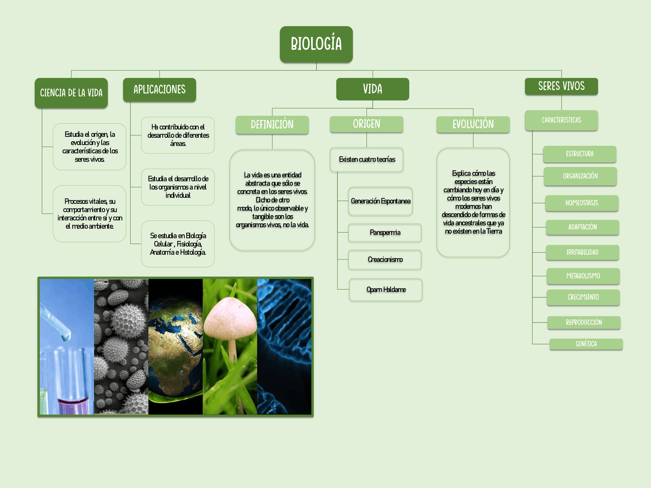 Aplicaciones, definición, origen y evolución, características de los ...