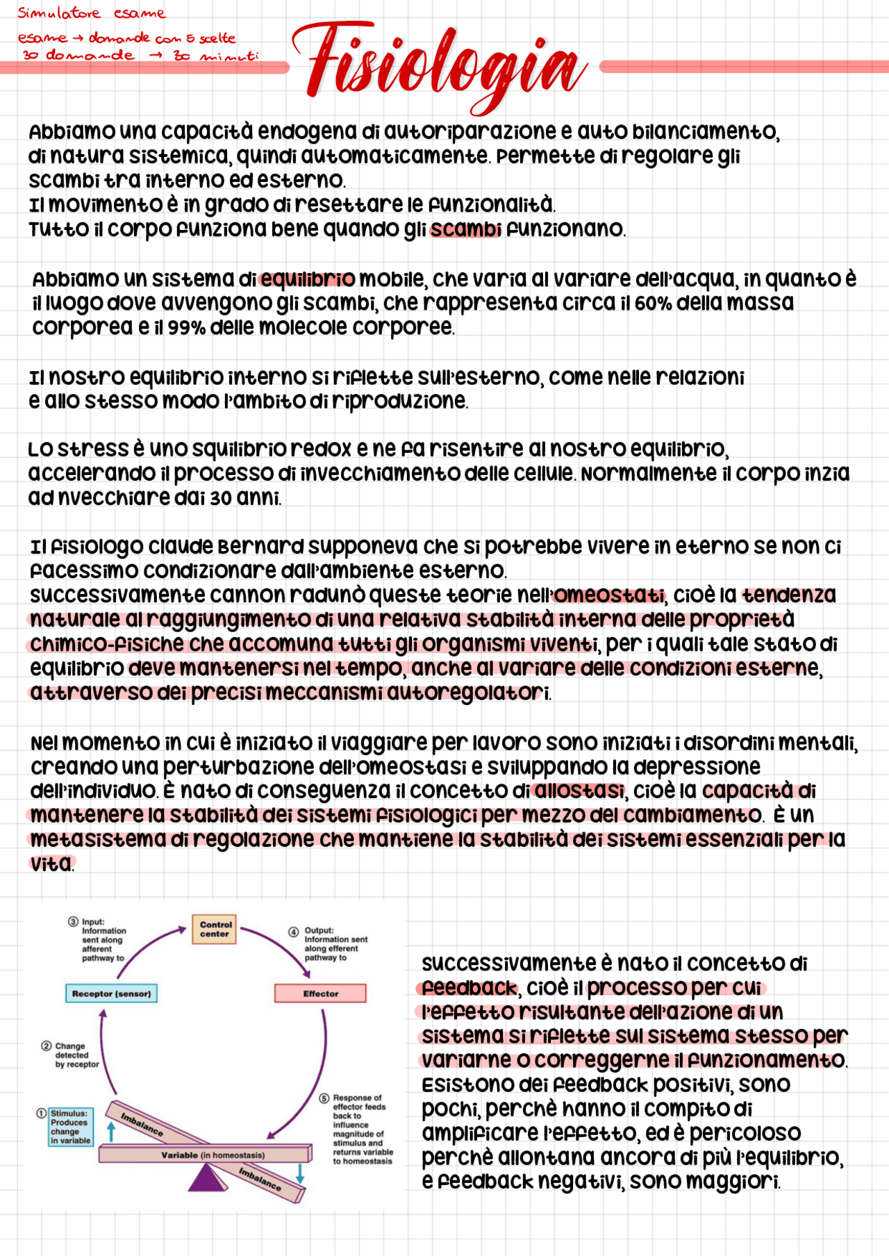 Appunti Fisiologia Umana Appunti Di Fisiologia Umana Docsity