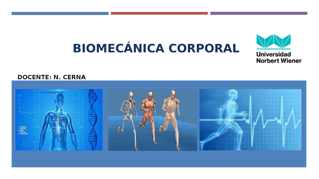 Biomecanica corporal | Diapositivas de Biofísica | Docsity