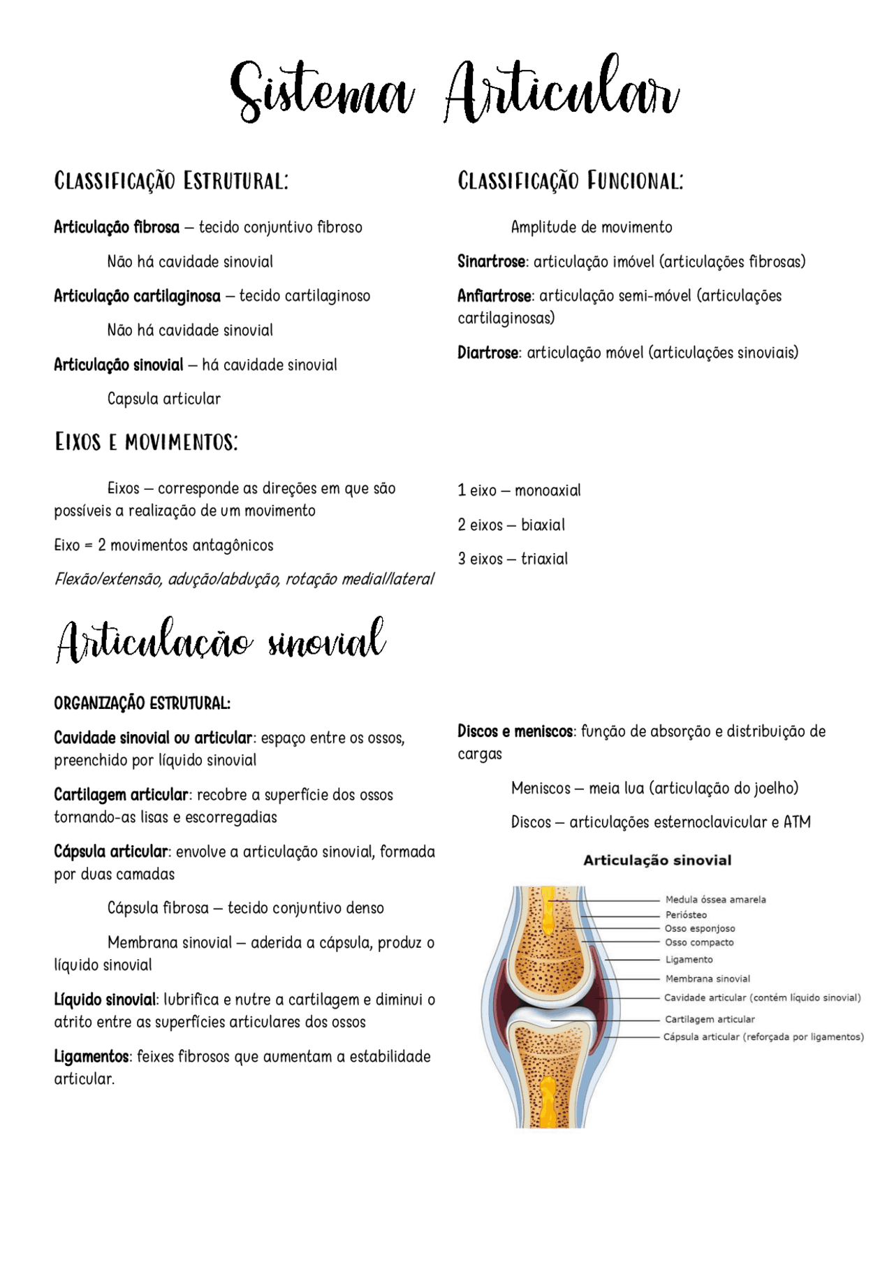 Sistema Articular Tipos De Articulações Esquemas Anatomia Docsity