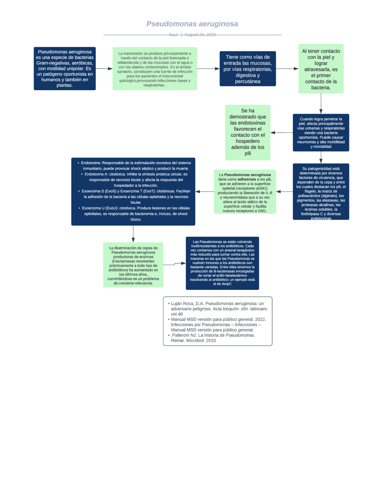 Infografía De Pseudomonas Monografías Ensayos De Bacteriología Docsity