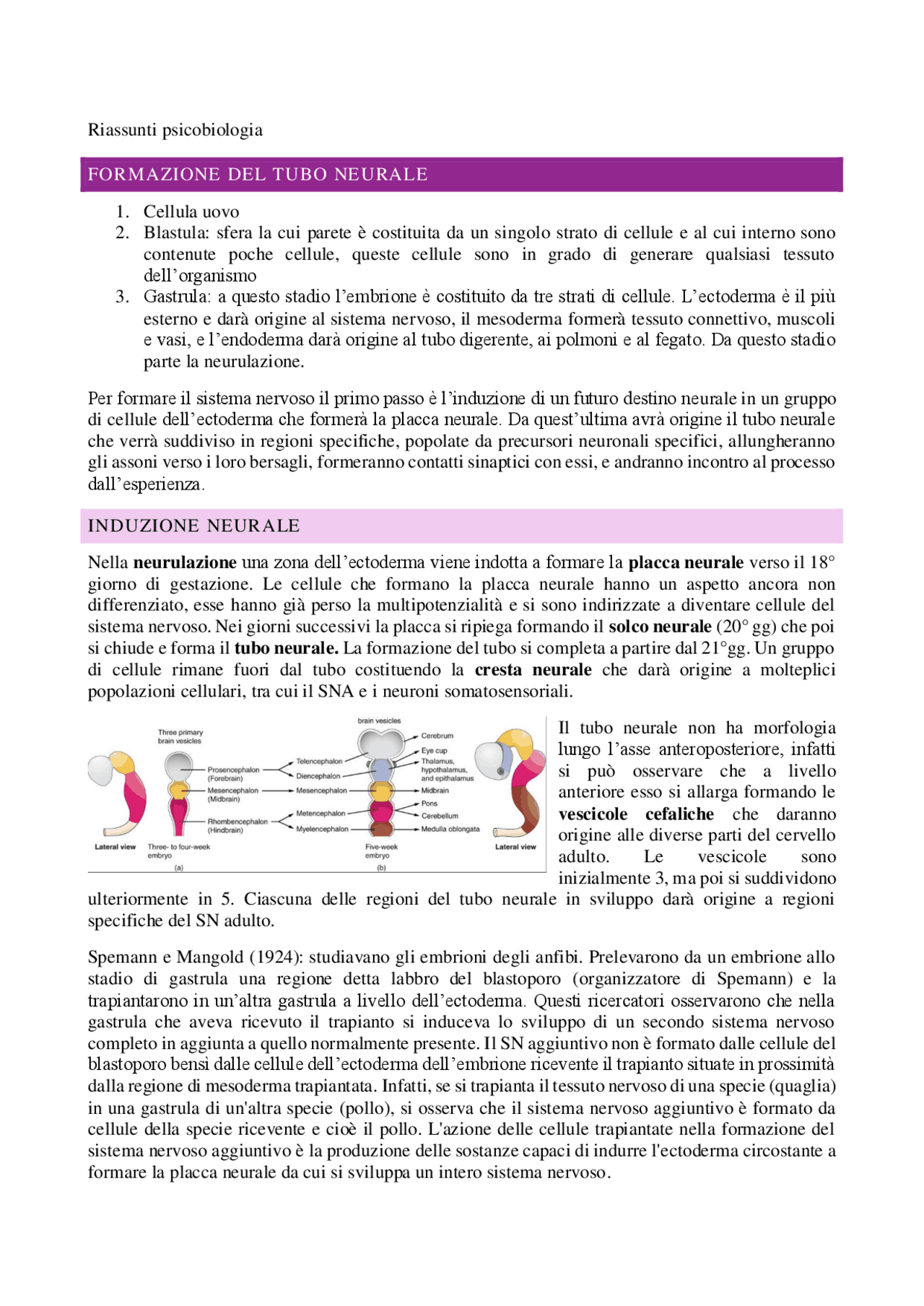 Riassunto Di Psicobiologia Modulo 1 Appunti Di Psicobiologia Docsity