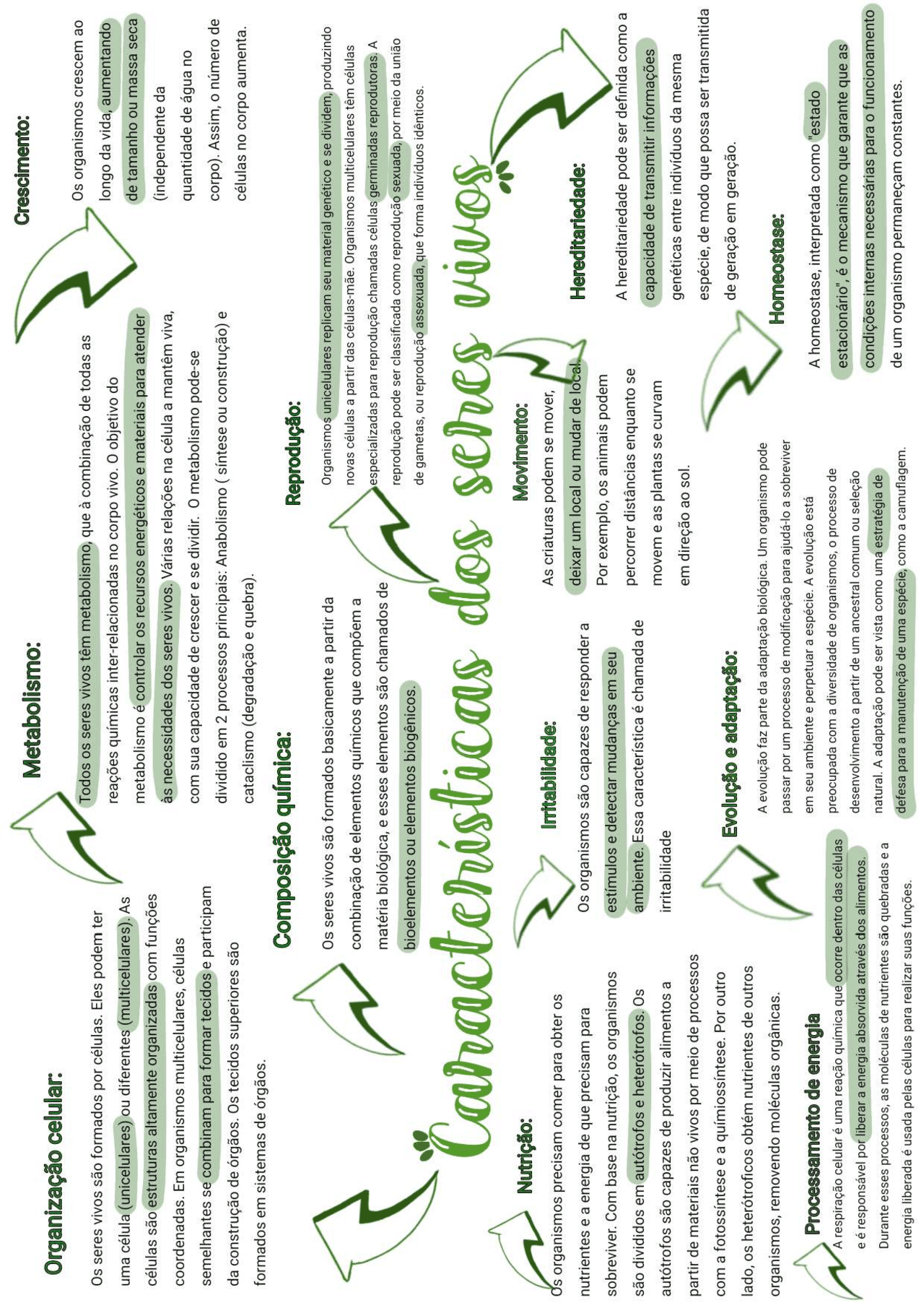 Mapa Mental Características Dos Seres Vivos Esquemas Biologia Docsity