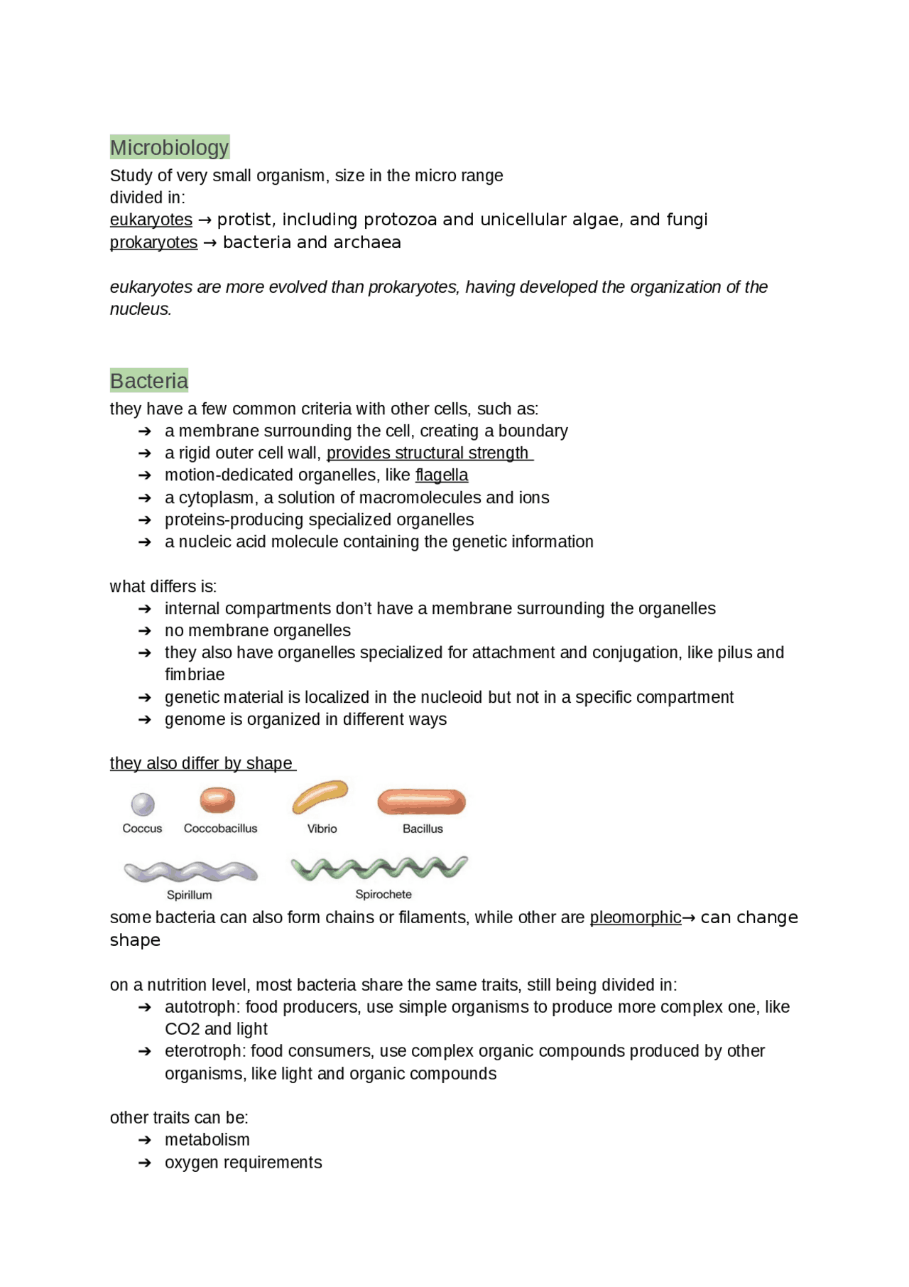 Microbiology 2022 2023 Appunti Di Microbiologia Docsity