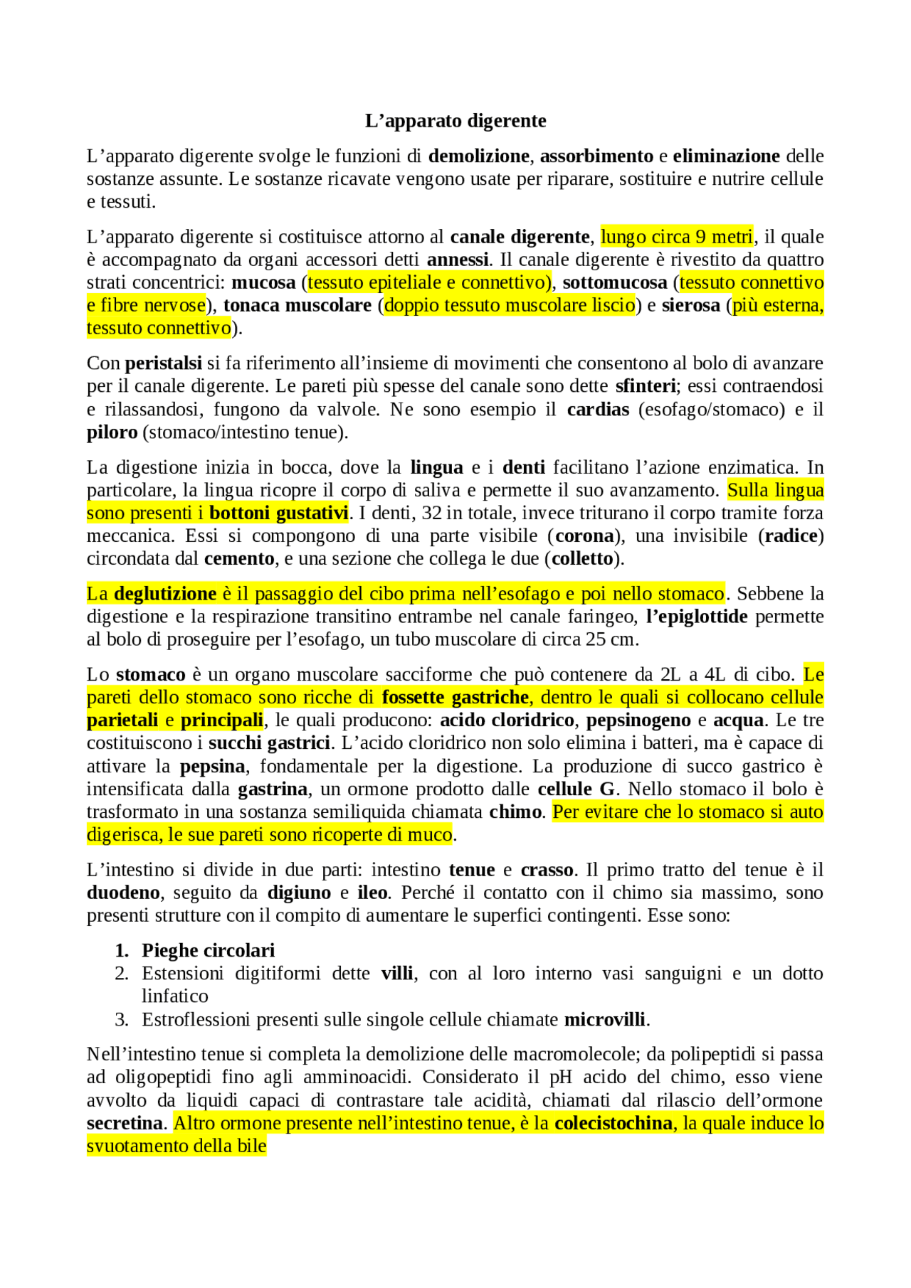 Apparato Digerente Spiegazione Delle Varie Componenti E Funzioni