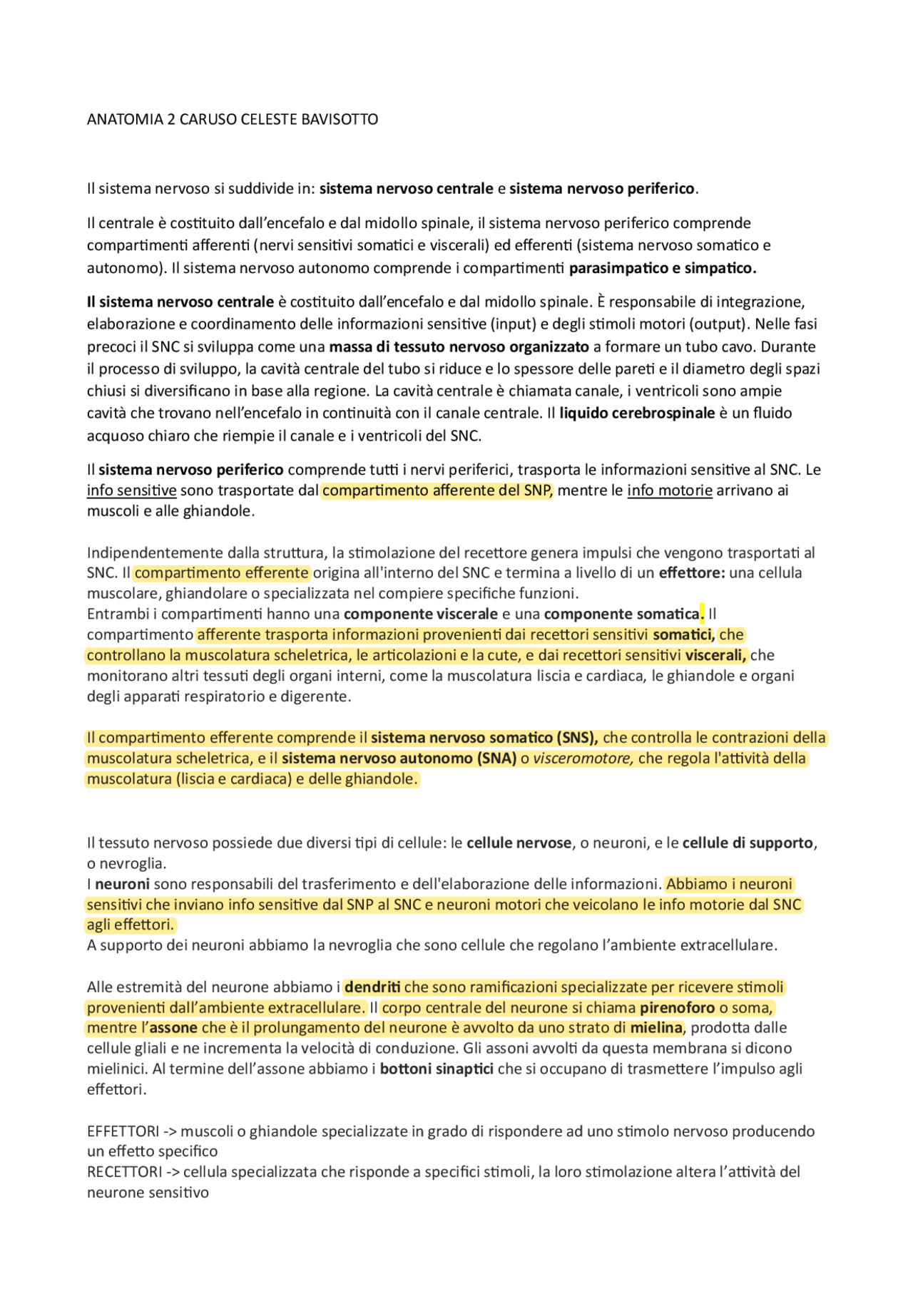 Anatomia Ii Sistema Nervoso Appunti Di Anatomia Docsity