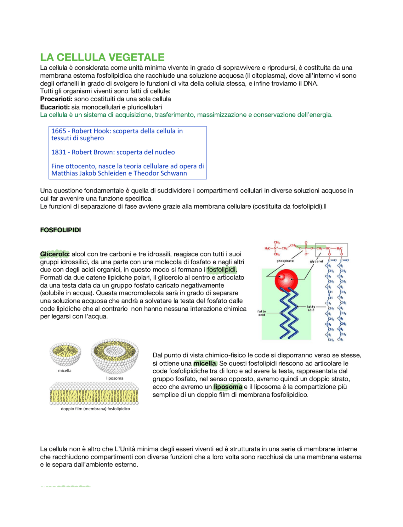 Struttura della cellula | Schemi e mappe concettuali di Biologia Vegetale | Docsity