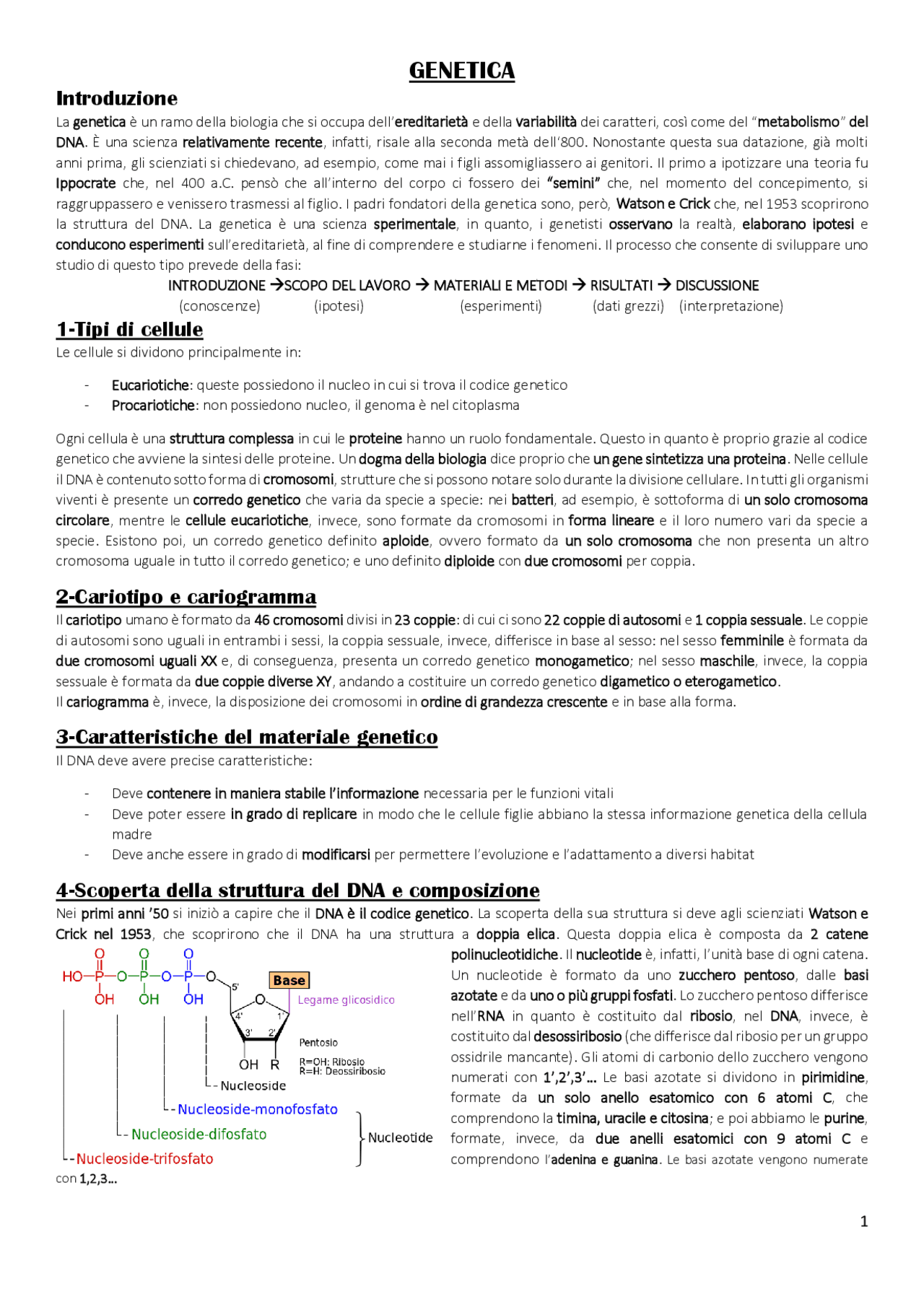Appunti Completi Di Genetica Dalle Basi Ai Concetti Più Complicati