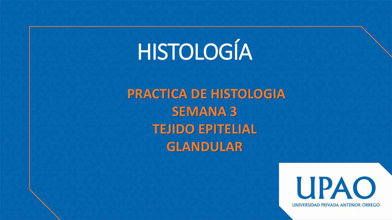 Clase De Histología 3 Apuntes De Histología Docsity