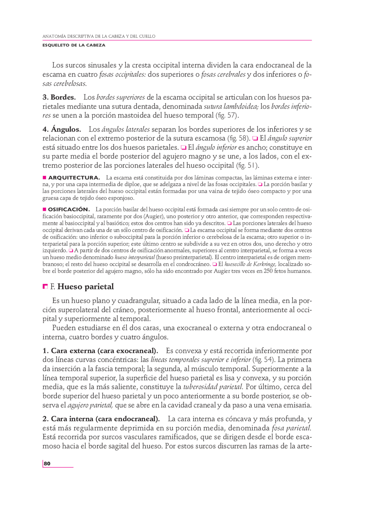 Anatomia Humana Tomo 1 Resúmenes De Anatomía Docsity