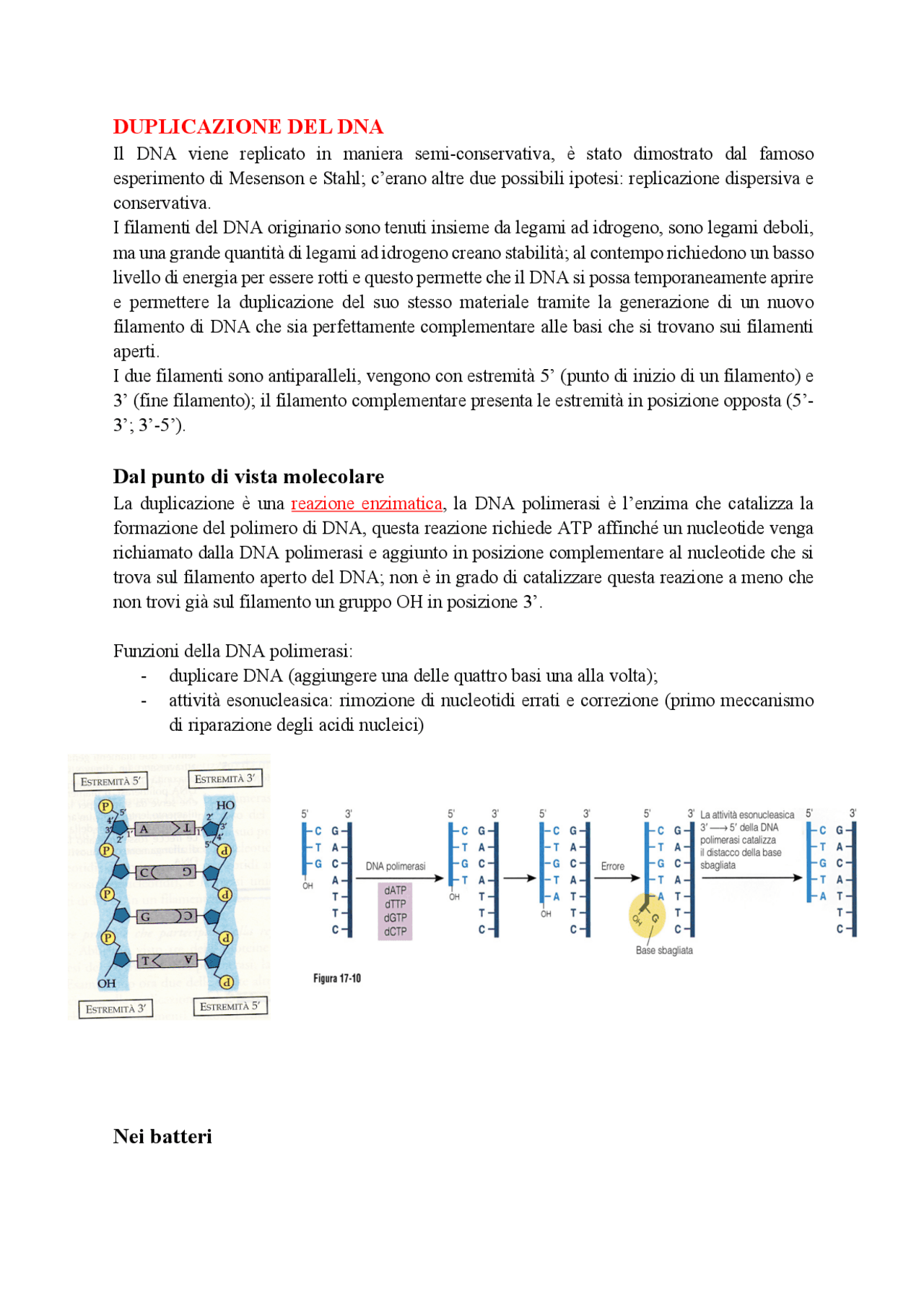 Biologia Lezione 11 Scienze Motorie Univr Primo Anno Appunti Di