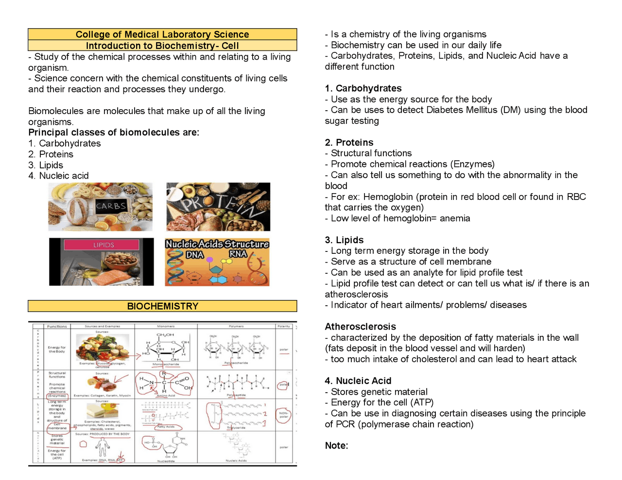 Biochemistry- Introduction to cell | Study notes Chemistry | Docsity