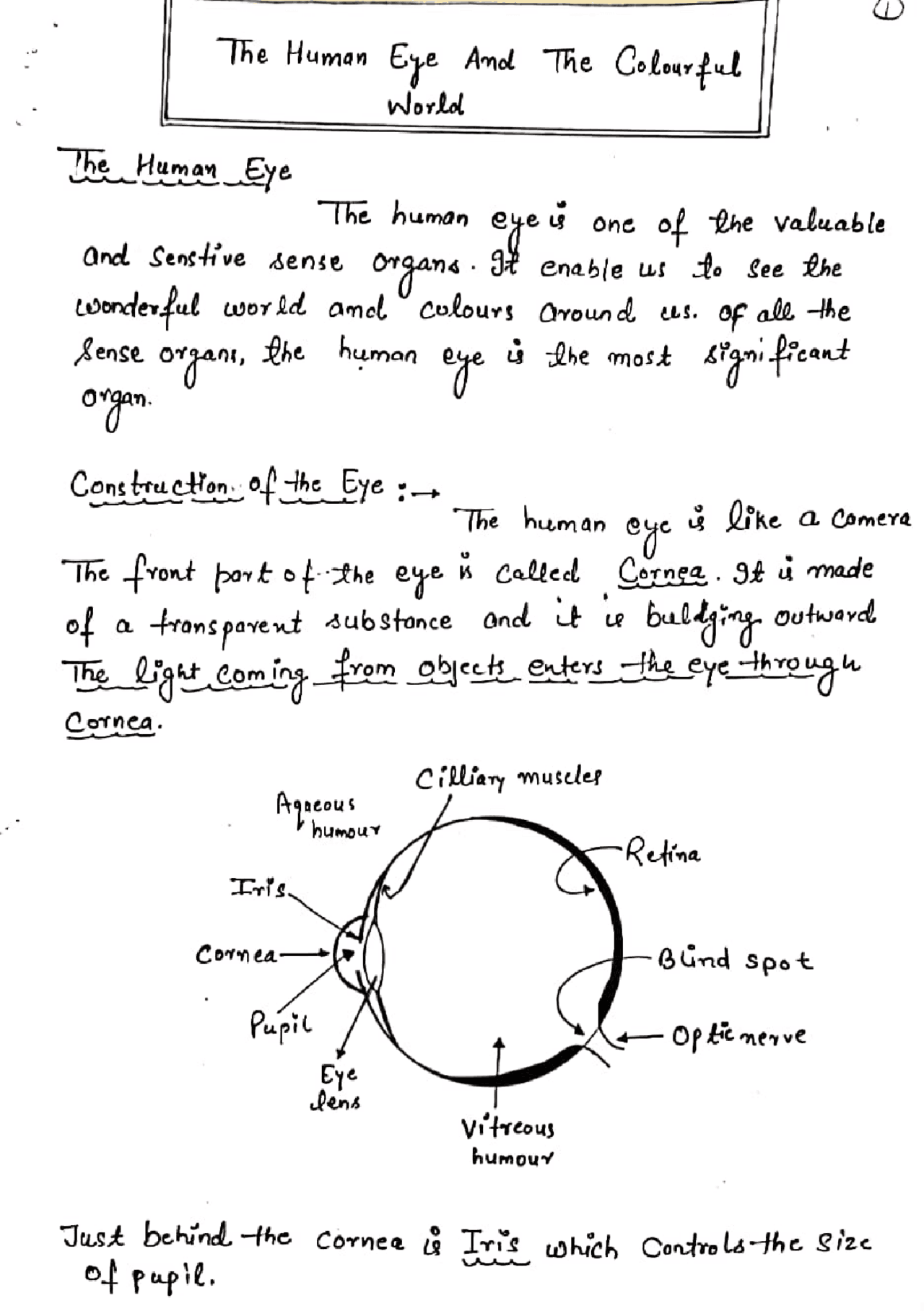The human eye and the colourful world | Study notes Physics | Docsity
