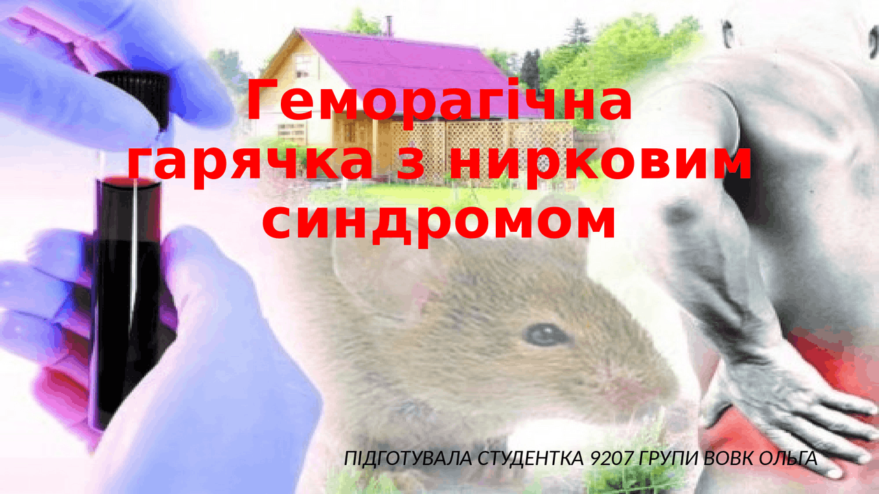 Гарячка з геморагічним синдромом презентація Рефераты Терапия Docsity
