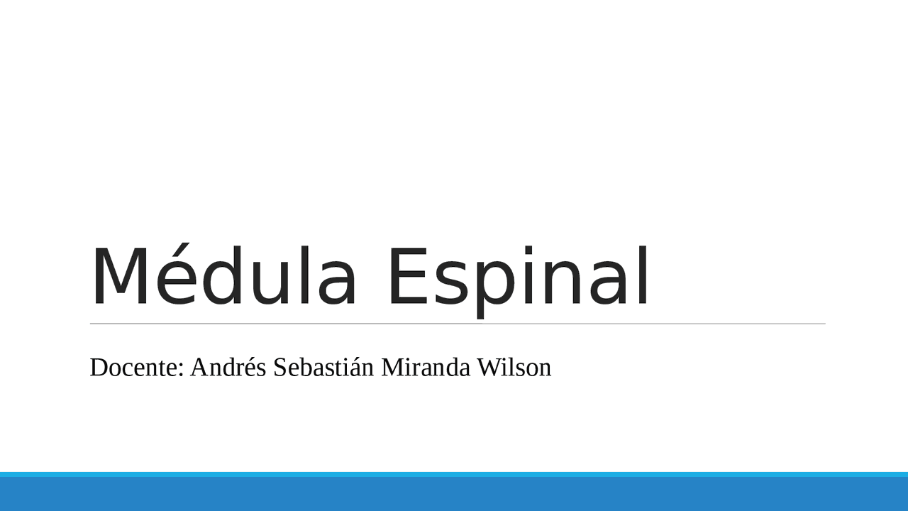 La Médula Espinal Neuroanatomía Diapositivas De Neuroanatomía Docsity