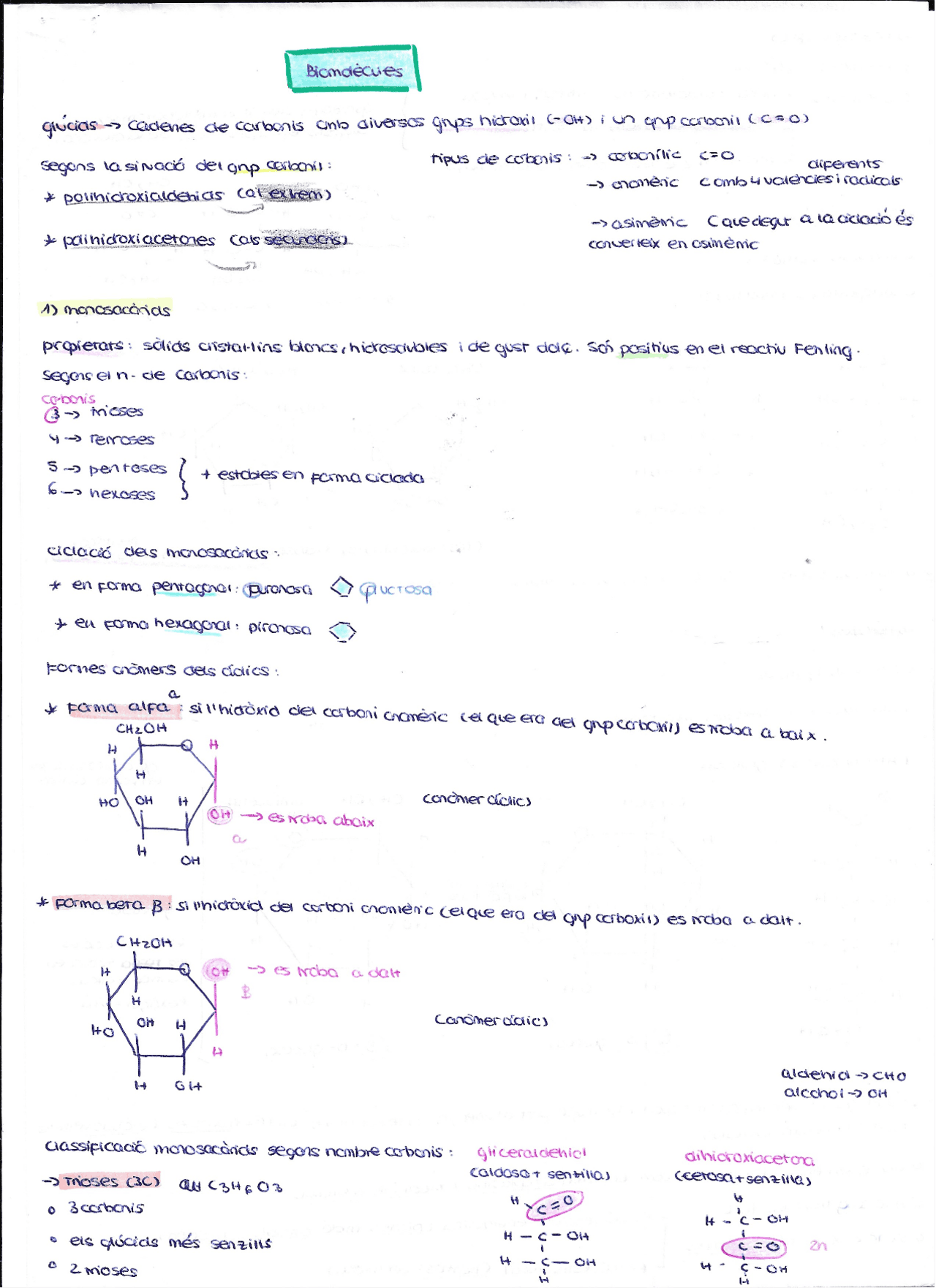 Biomolecules Glucids I Lipids Resúmenes De Biología Docsity