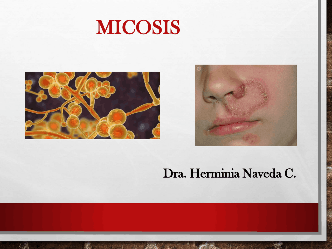 Apuntes De Microbiología Diapositivas De Biología Docsity