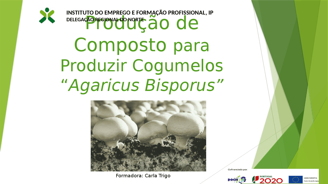 Compostagem Para Cogumelos Agaricus Slides Biologia Docsity