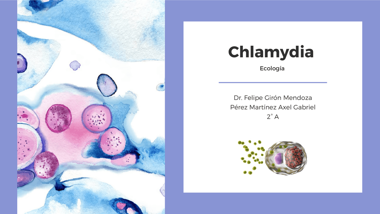 Ciclo biologico de clamidia | Resúmenes de Ecología | Docsity