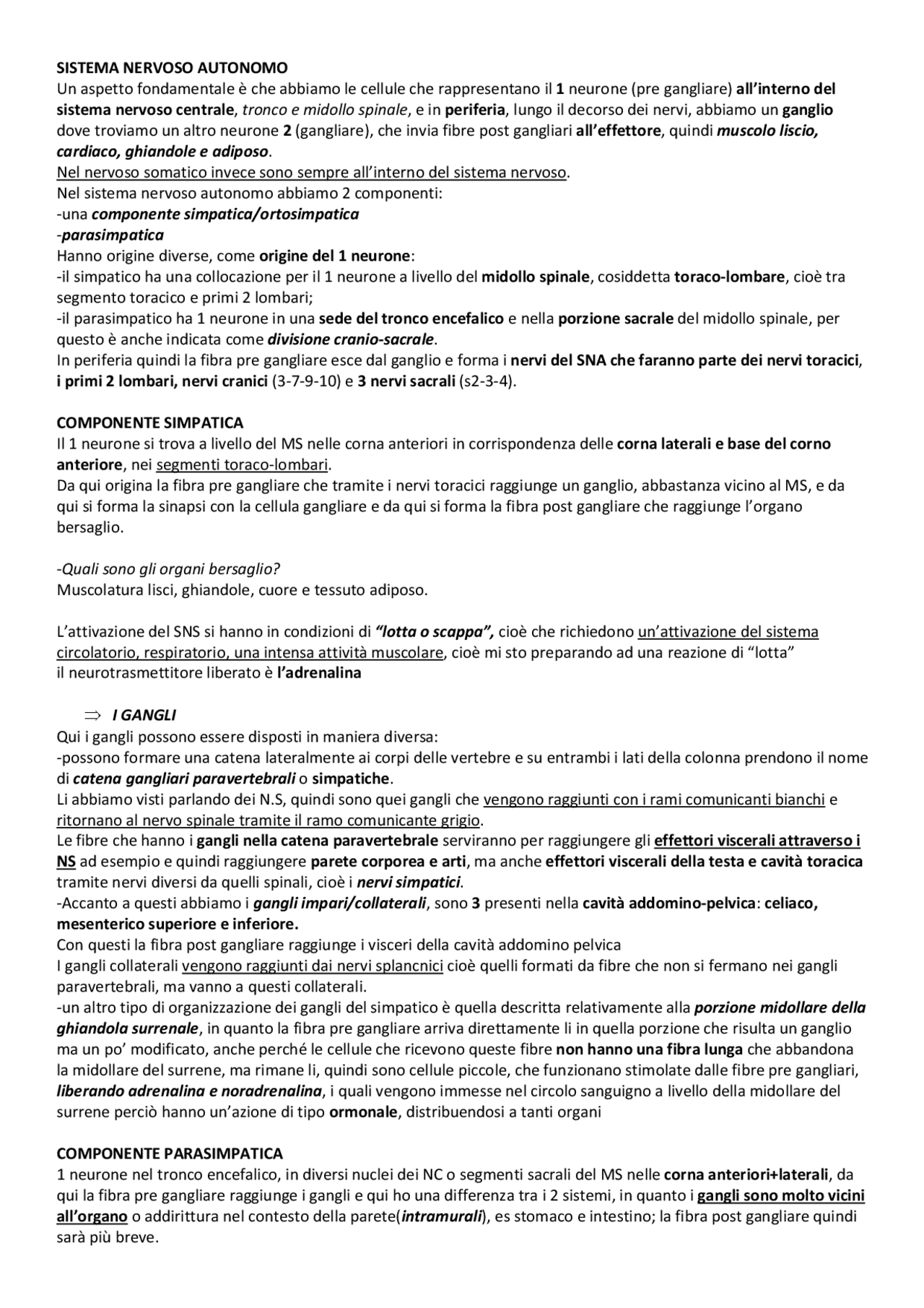 Anatomia Sistema Nervoso Autonomo Sbobinature Di Anatomia Docsity