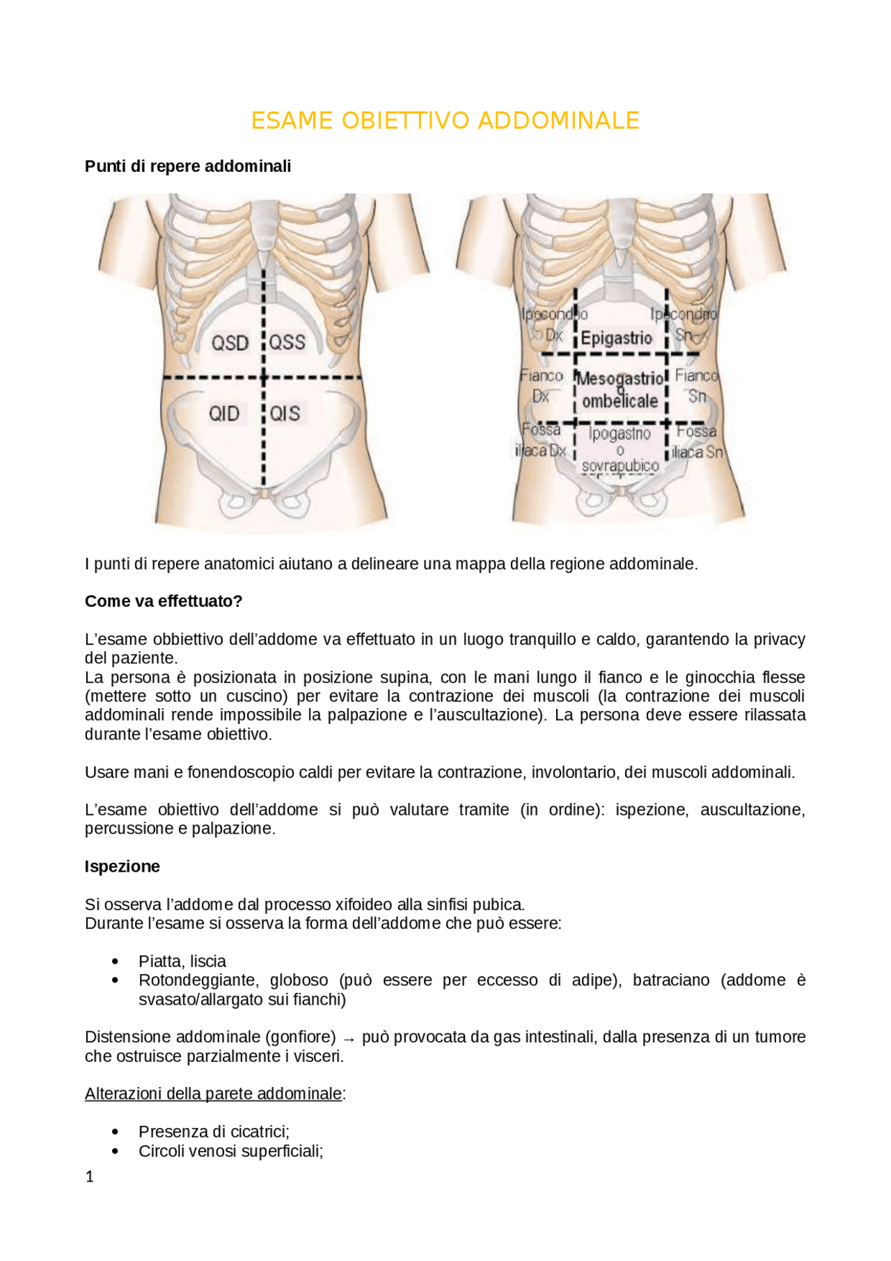 Esame Obiettivo Addominale Appunti Di Clinica I Docsity