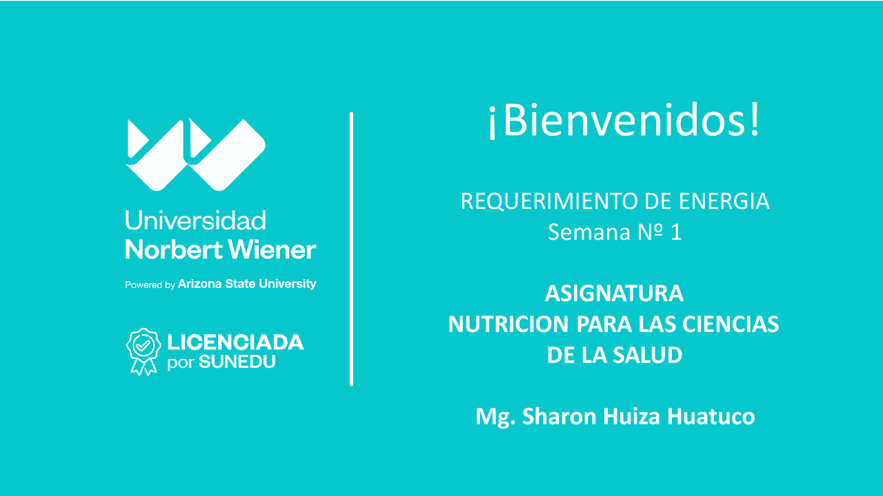Nutricion Carbohidratos Diapositivas De Nutrición Docsity